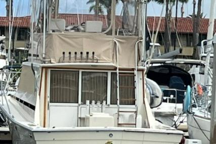 1981 Viking 35 Convertible Convertible for sale - YachtWorld