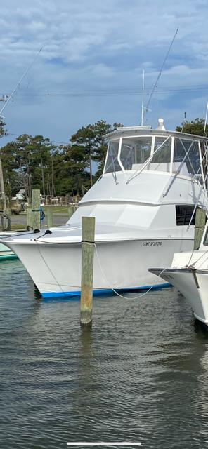1985 Bertram 38 Convertible Sport Fishing for sale - YachtWorld