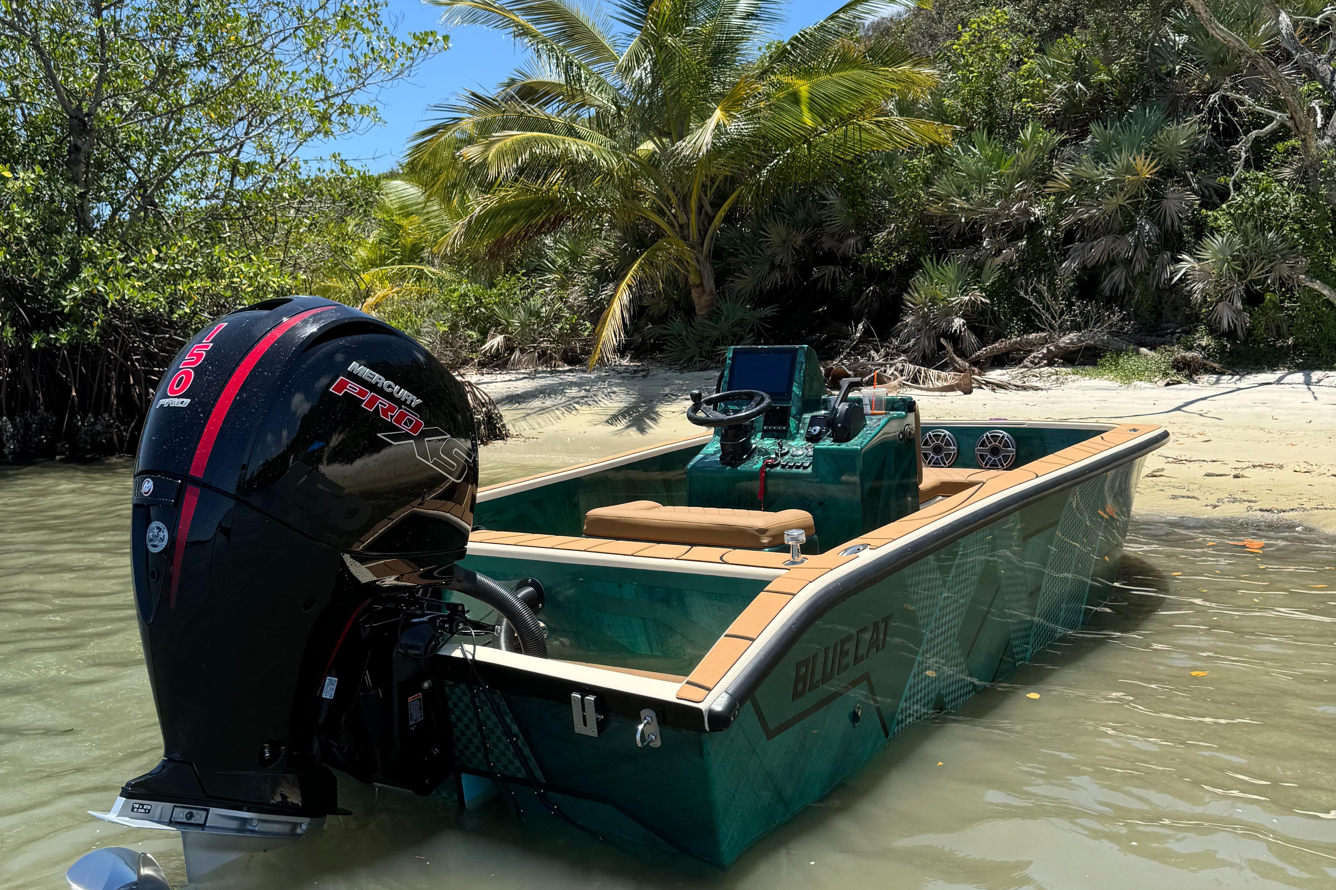 2025 BlueCat 17 Power Catamaran for sale - YachtWorld