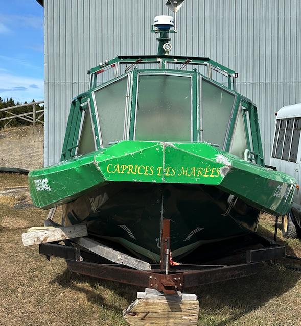 2001 Custom passenger/workboat Kommerzielles Schiff (Motor) Kaufen ...