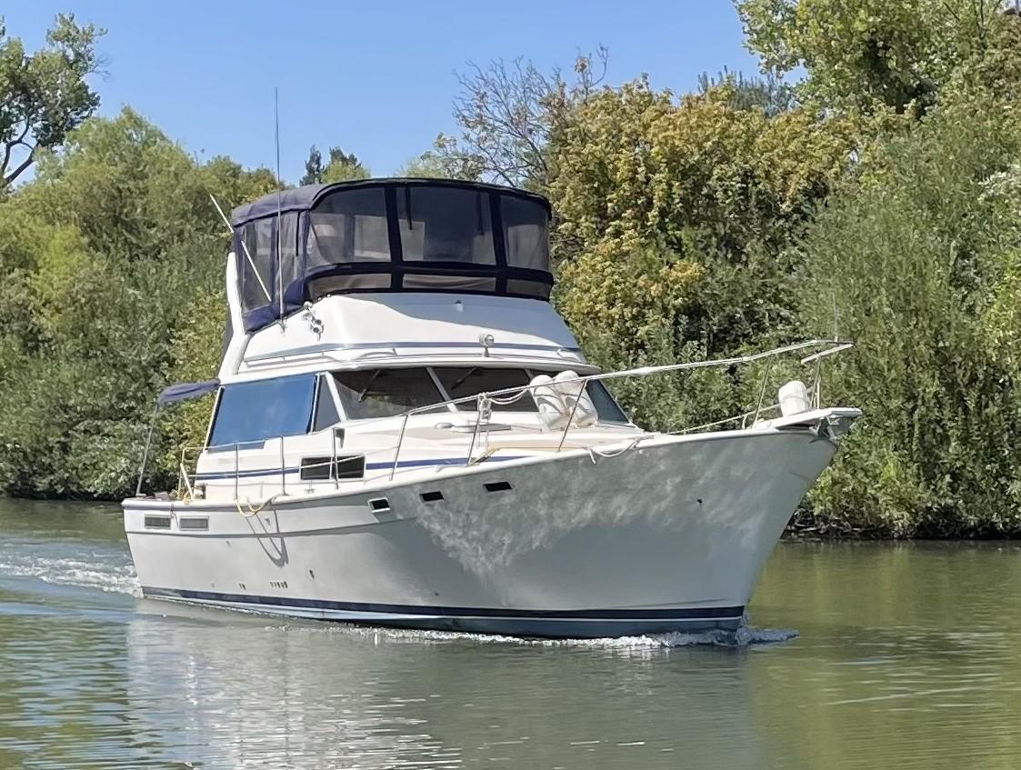 1985 Bayliner 3870 Motoryacht Bateaux flybridge à vendre - YachtWorld
