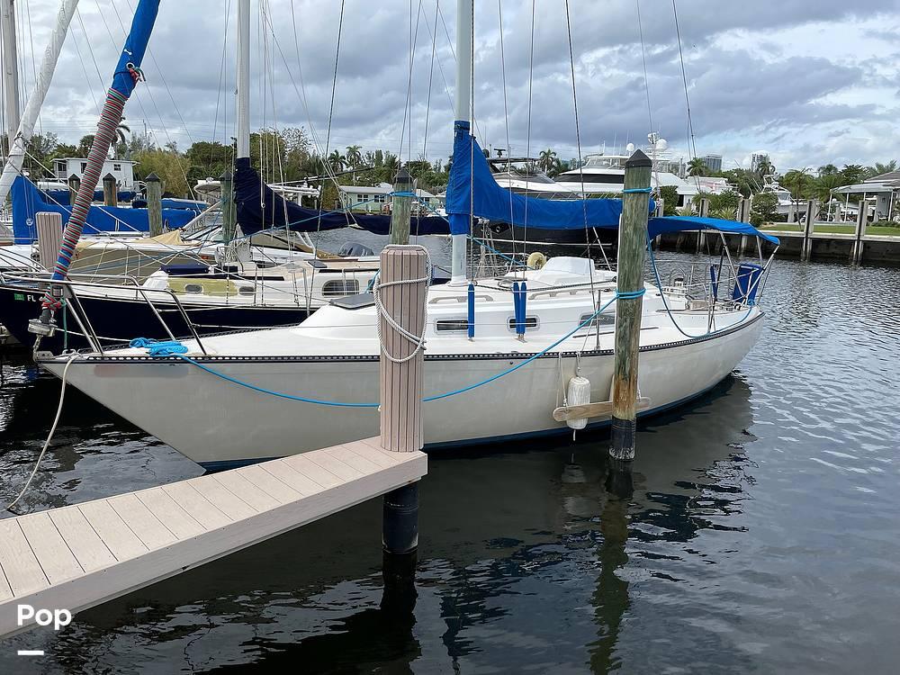 Used 1981 Pearson 32 Pearson - Florida | TopBoats