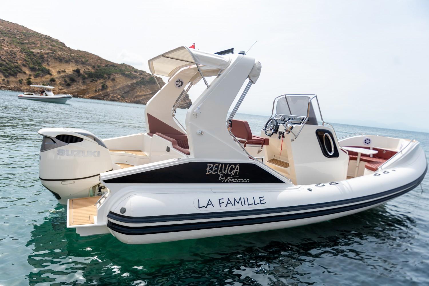 New Espadon 800 beluga in 06 - Alpes-Maritimes - iNautia