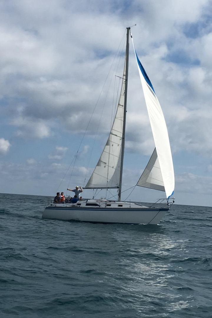 1983 Hunter 31 Cruiser for sale - YachtWorld