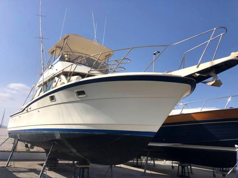 1989 Hatteras Hatteras Yachts 36 Convertible Sportfischerboot Kaufen ...
