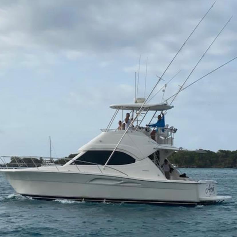 2003 Riviera 37 Convertible Flybridge for sale - YachtWorld