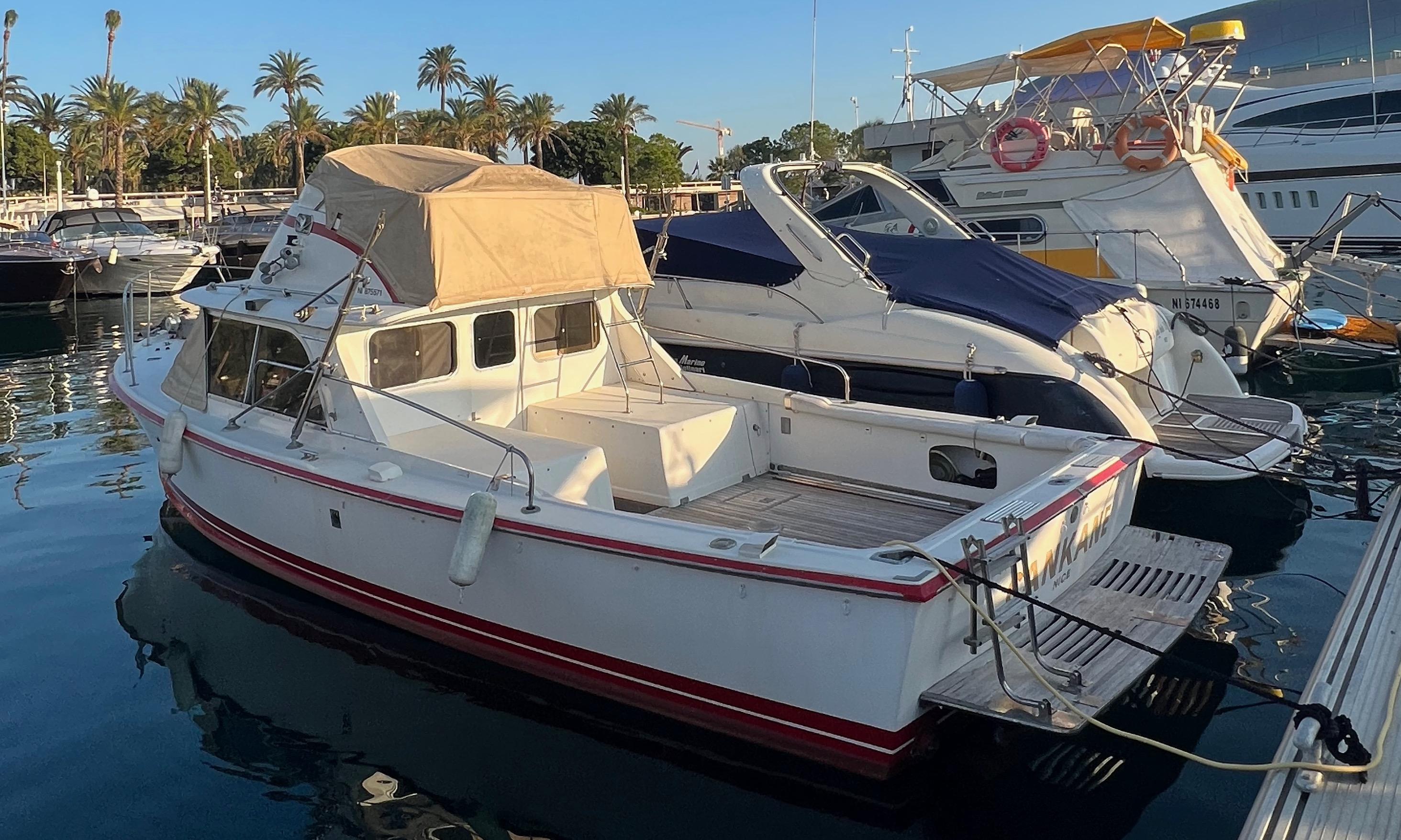 1981 Bertram 31 Flybridge Cruiser Cruiser for sale - YachtWorld