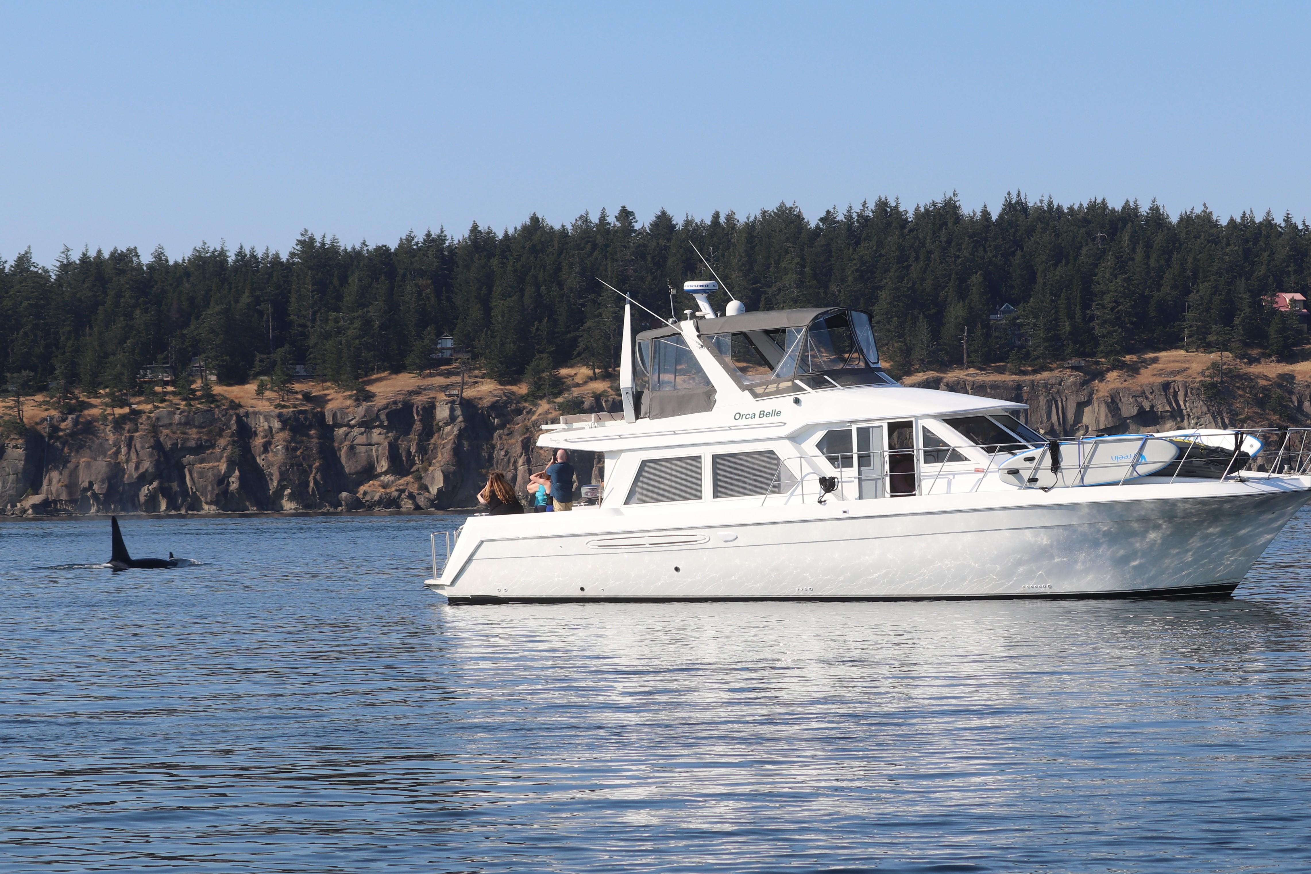 2000 Navigator 5300 Motor Yachts for sale - YachtWorld