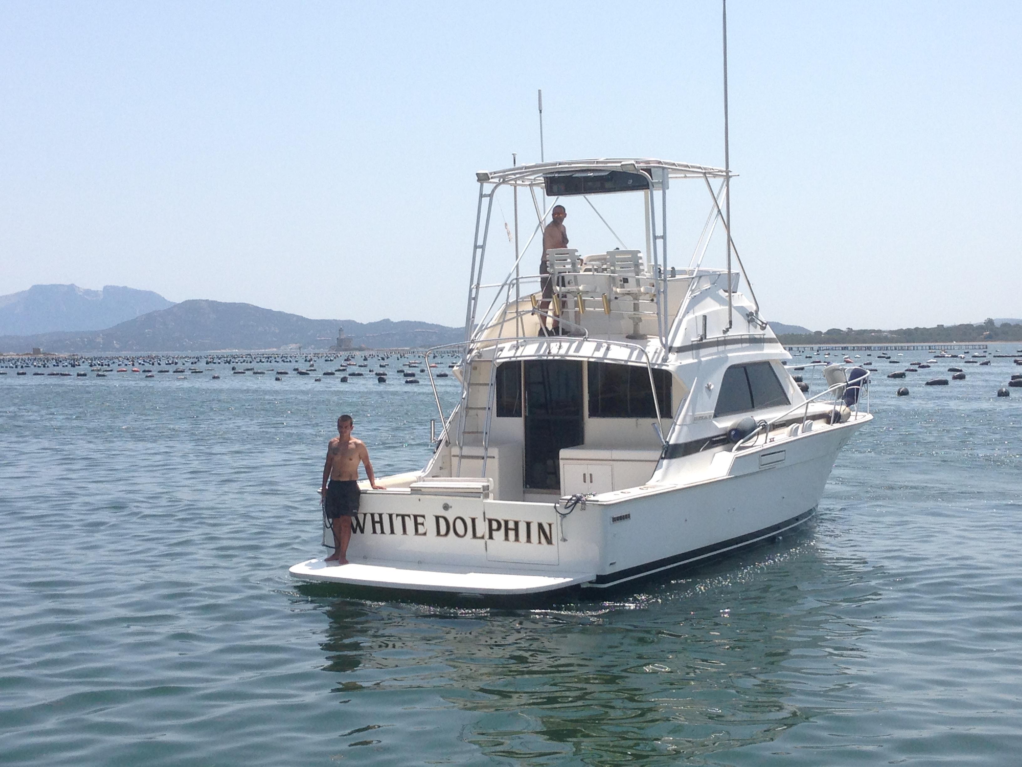 Used Bertram 37 Convertible in Sassari - iNautia