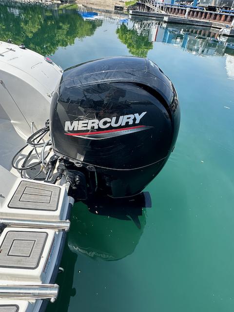 2022 Legend D19 Bowrider for sale - YachtWorld