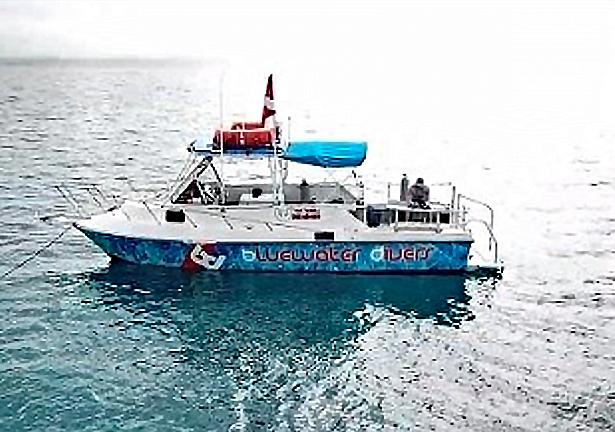 1990 Delta Boat Company 28 Dive Boat Tauchboot Kaufen - YachtWorld