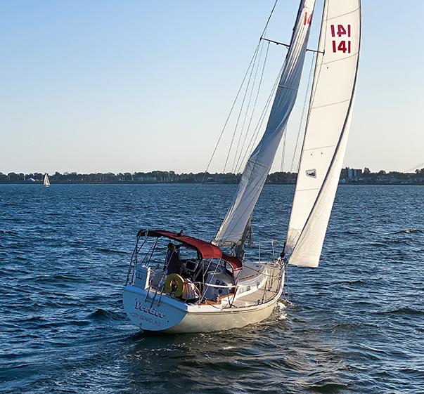 1976 Pearson 10M Slup Kaufen - YachtWorld