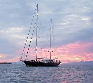 Custom power/sail | 2001 | 40m | Boatshop24