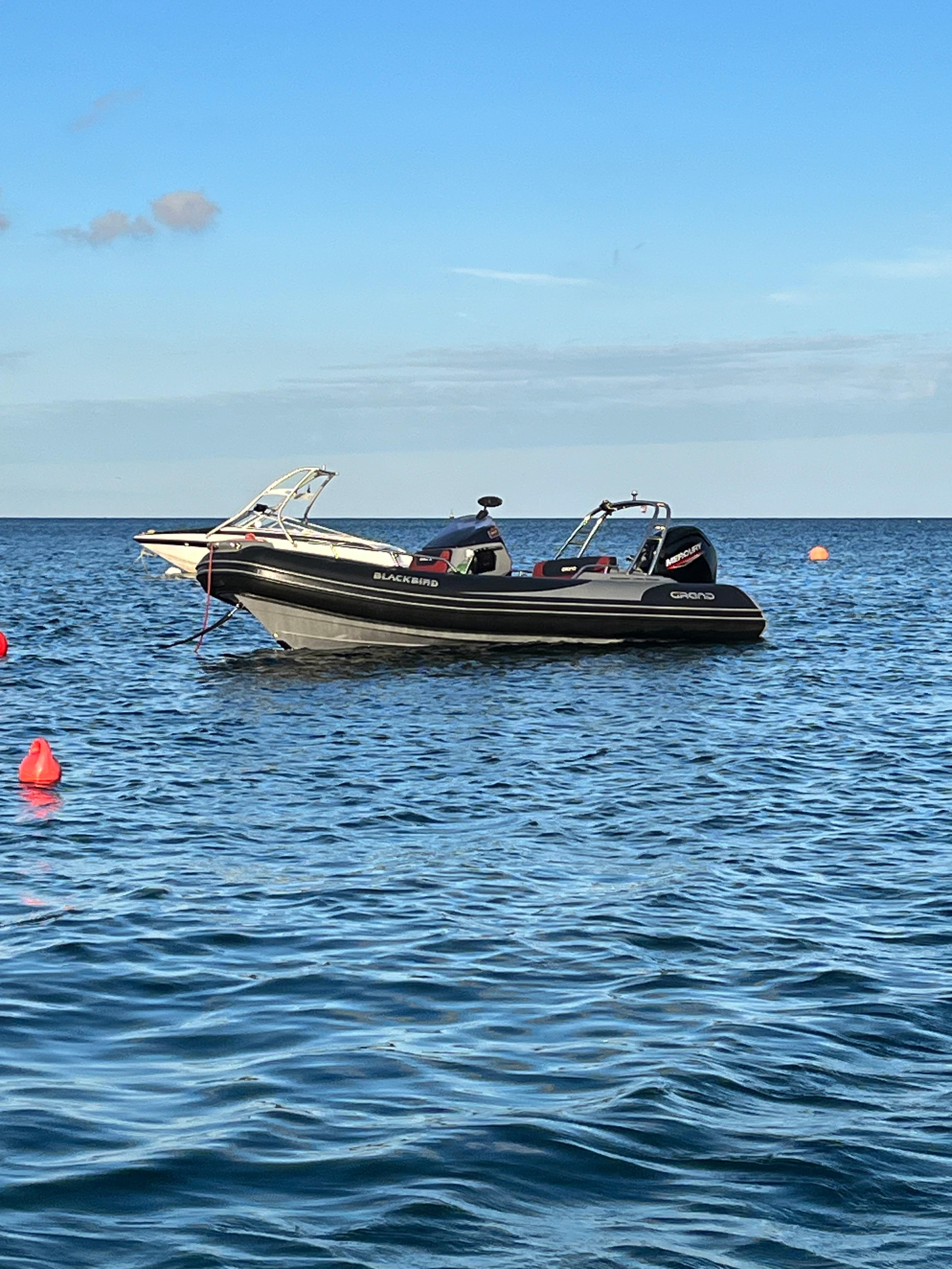 Grand G500 goldenline | 5m | 2021 - Cornwall | Boats and Outboards