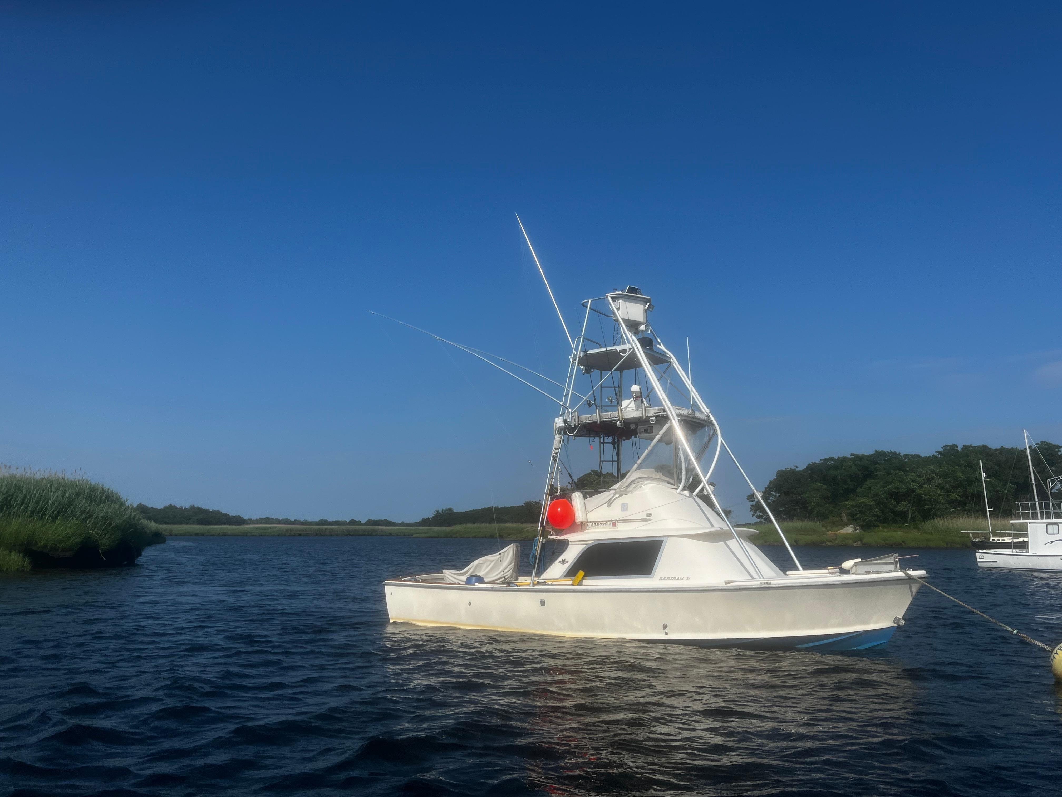 1975 Bertram 31 Sport Fishing for sale - YachtWorld