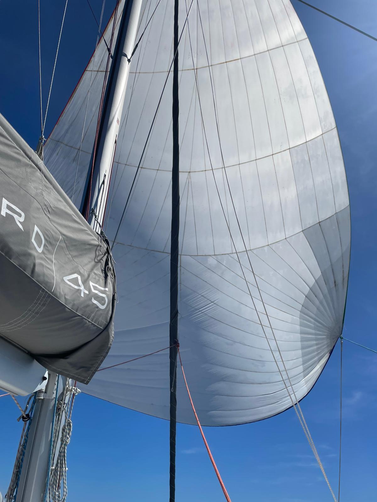 2019 Leopard 45 Catamaran for sale - YachtWorld