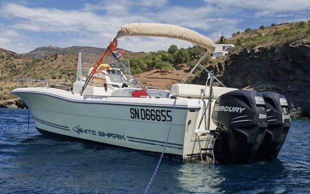 New Kelt WHITE SHARK 265 CC in 30 - Gard - iNautia