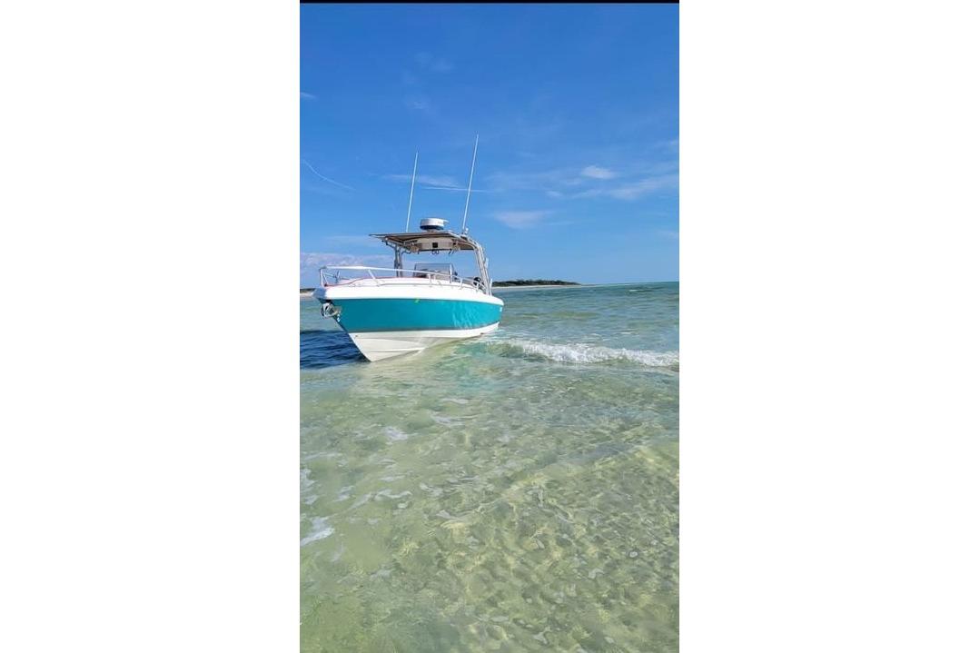 2005 Intrepid 323 Cuddy Cuddy Cabin for sale - YachtWorld