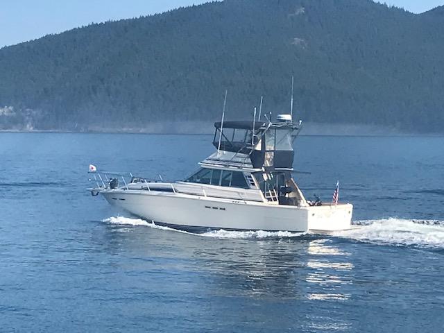 1985 Sea Ray 390 Sedan Bridge Cruiser for sale - YachtWorld