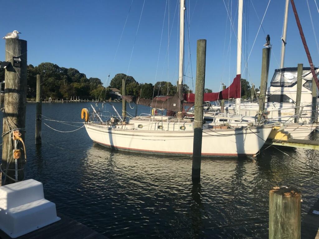 Shannon 28 boats for sale | YachtWorld