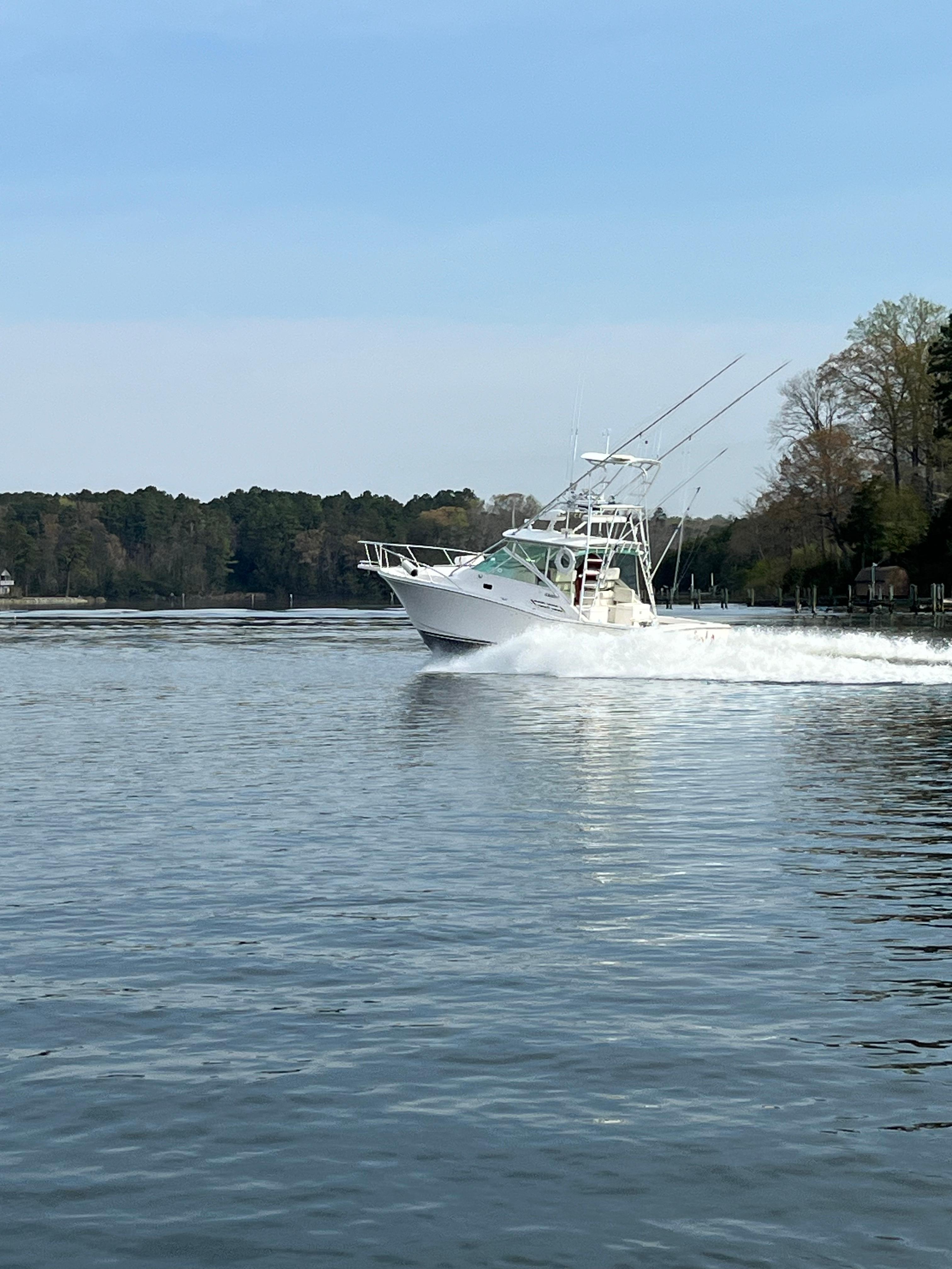 2002 Cabo 31 Express Sport Fishing for sale - YachtWorld