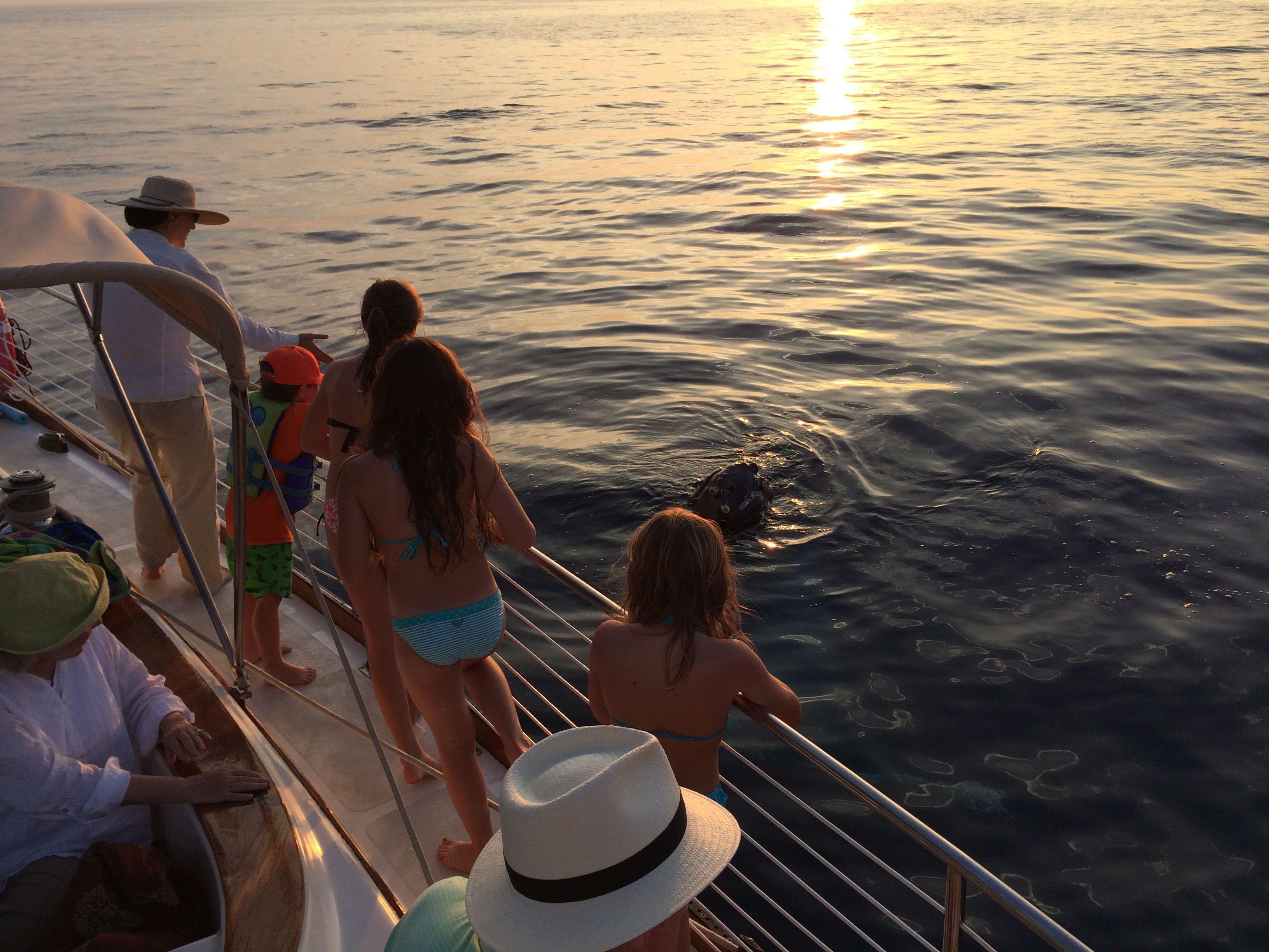 1977 Gulfstar 50 Sailboat with COI Passenger for sale - YachtWorld