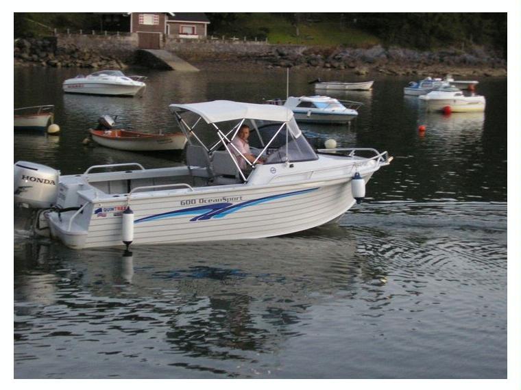 Used 1995 Quintrex 600 oceansport - Madrid | TopBoats