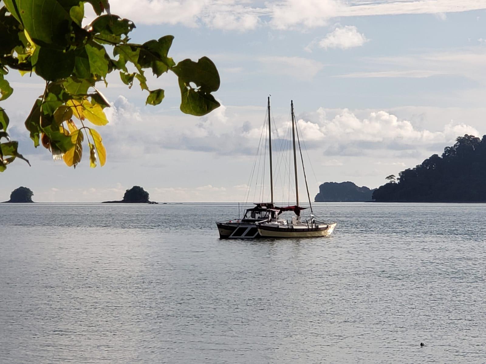 2016 Wharram Tiki 46 Catamaran for sale - YachtWorld