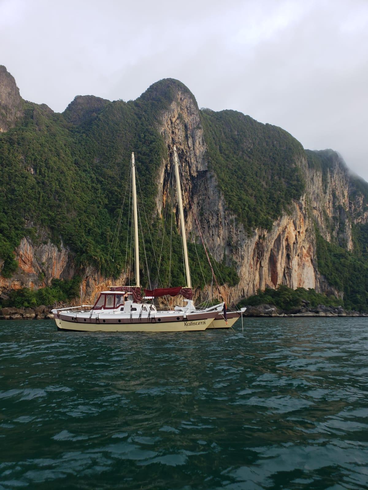 2016 Wharram Tiki 46 Catamaran for sale - YachtWorld