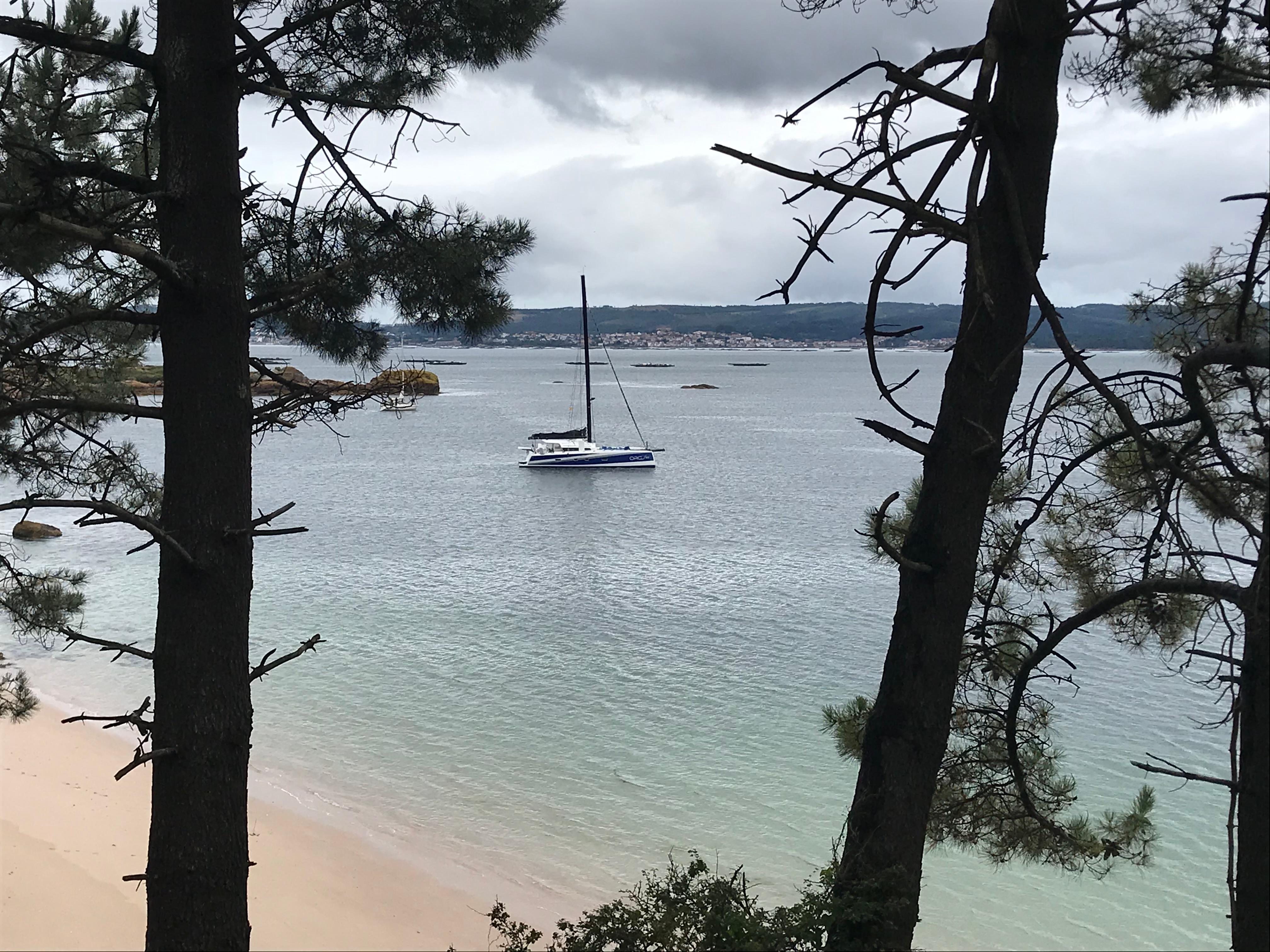 2021 Marsaudon Composites ORC 50 Catamaran for sale - YachtWorld