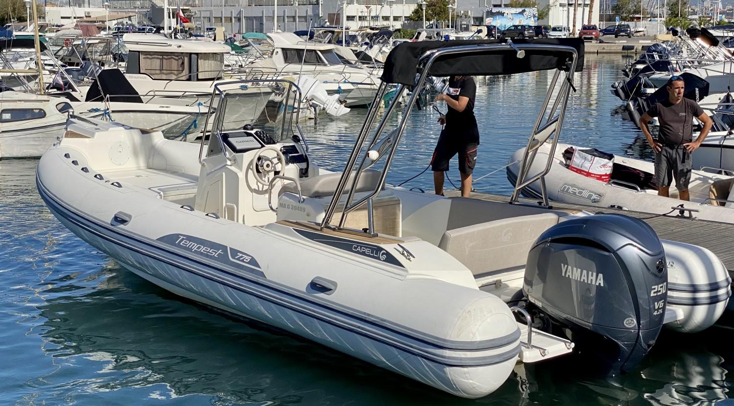 Used 2022 Capelli Tempest 775 - 13 - Bouches-du-Rhône | Youboat