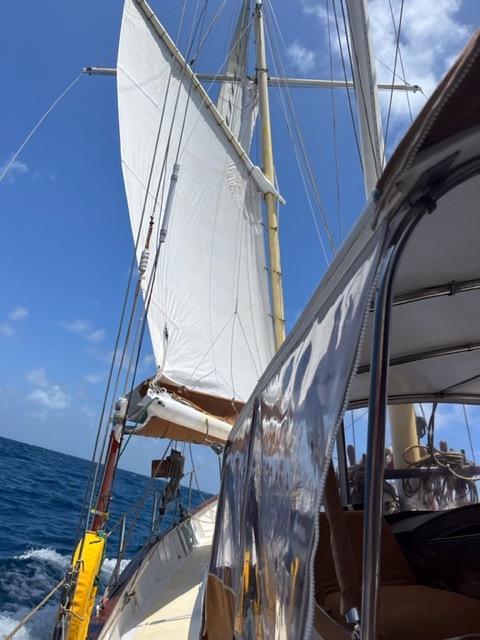 1985 Custom Thomas Colvin "Pipistrelle" Cruiser for sale - YachtWorld