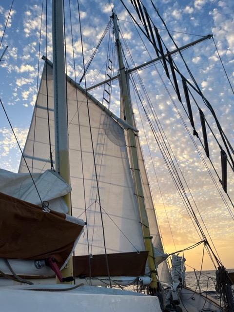 1985 Custom Thomas Colvin "Pipistrelle" Cruiser for sale - YachtWorld