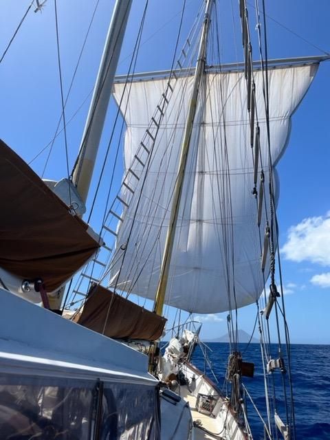 1985 Custom Thomas Colvin "Pipistrelle" Cruiser for sale - YachtWorld