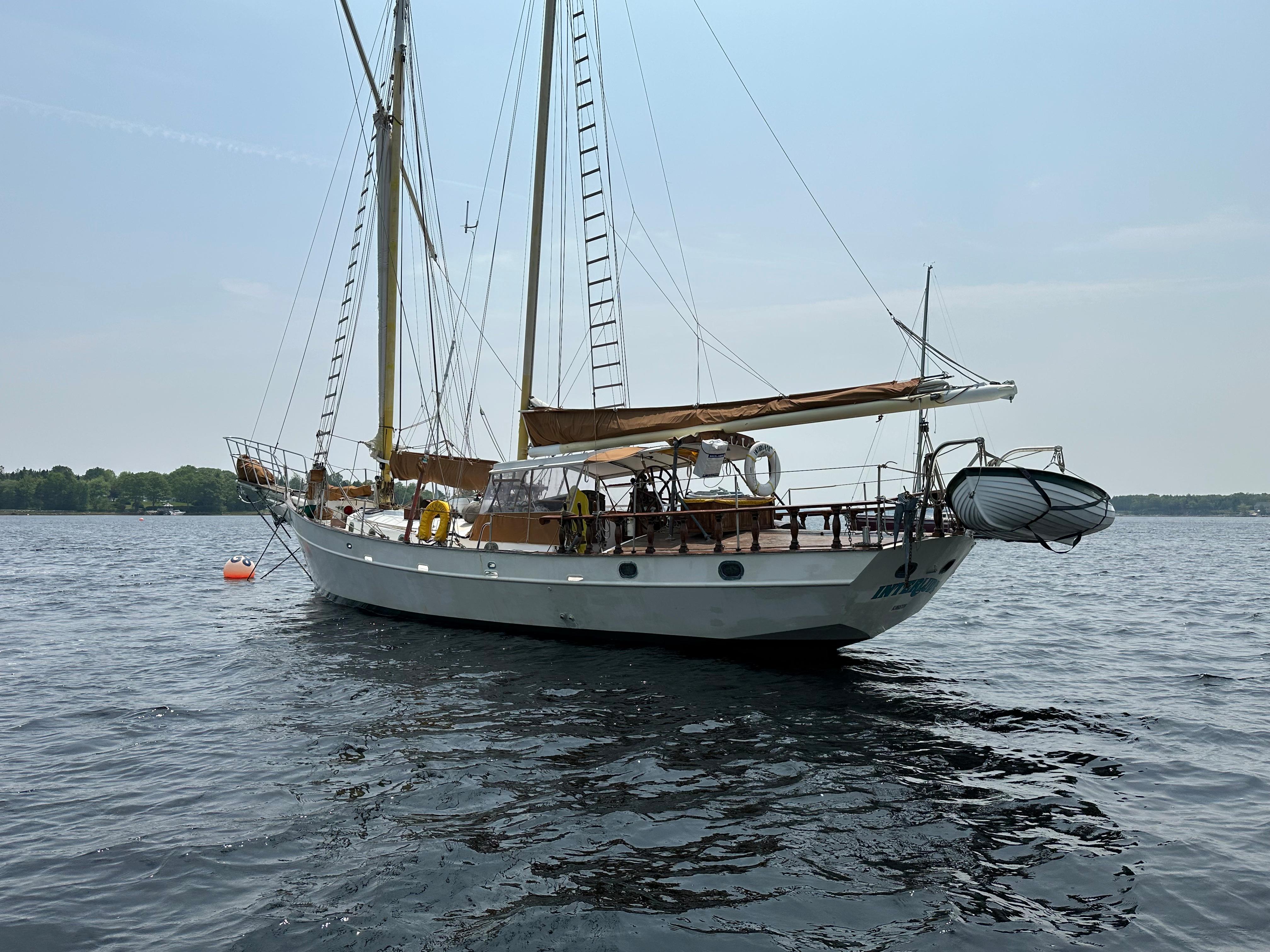 1985 Custom Thomas Colvin "Pipistrelle" Cruiser for sale - YachtWorld