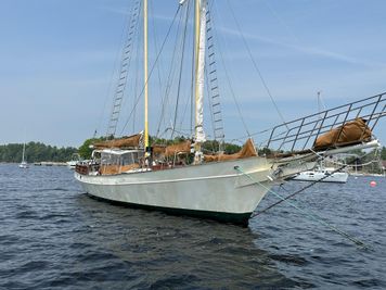 1985 Custom Thomas Colvin "Pipistrelle" Cruiser for sale - YachtWorld
