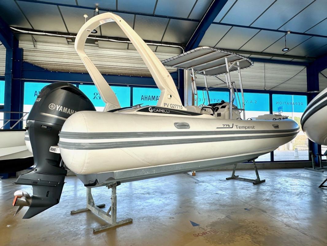 Used 2021 Capelli Tempest 775 - 66 - Pyrénées-Orientales | TopBoats
