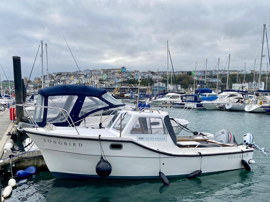 2020 Colvic Seaworker 22 Sport Fishing for sale - YachtWorld