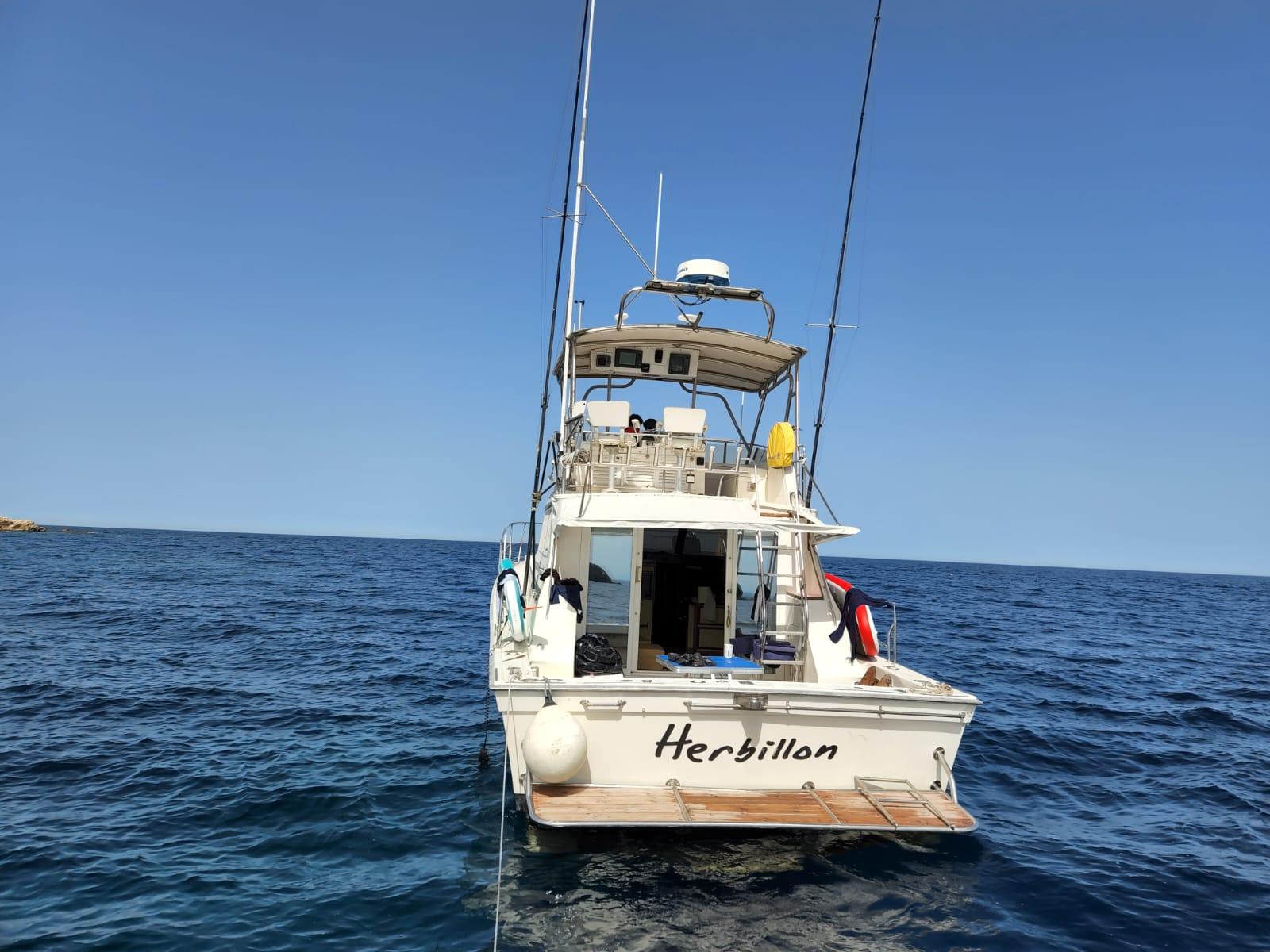 1981 Viking 40 Barche da pesca sportiva in vendita- YachtWorld