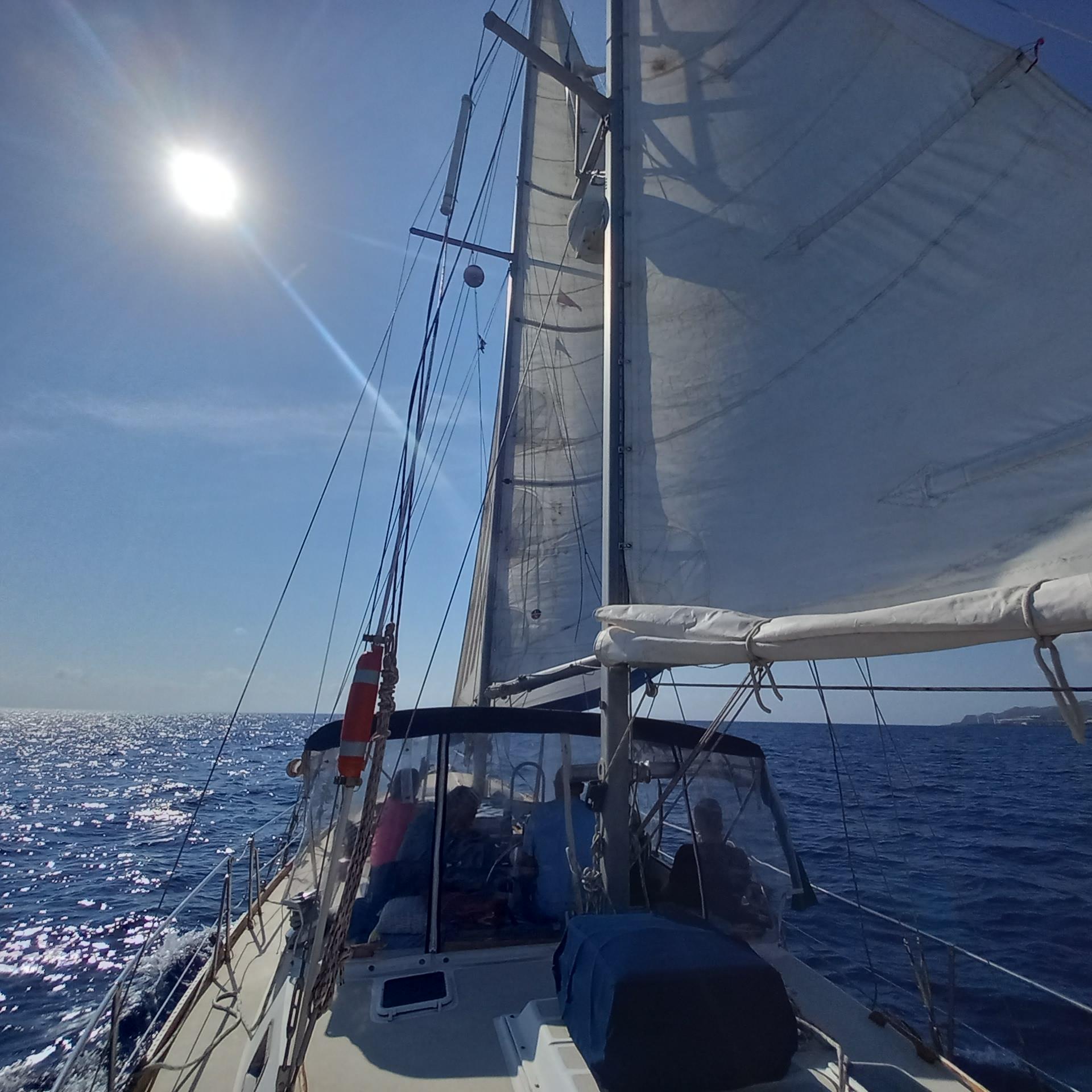 1982 Morgan 462 Morgan Cruiser for sale - YachtWorld