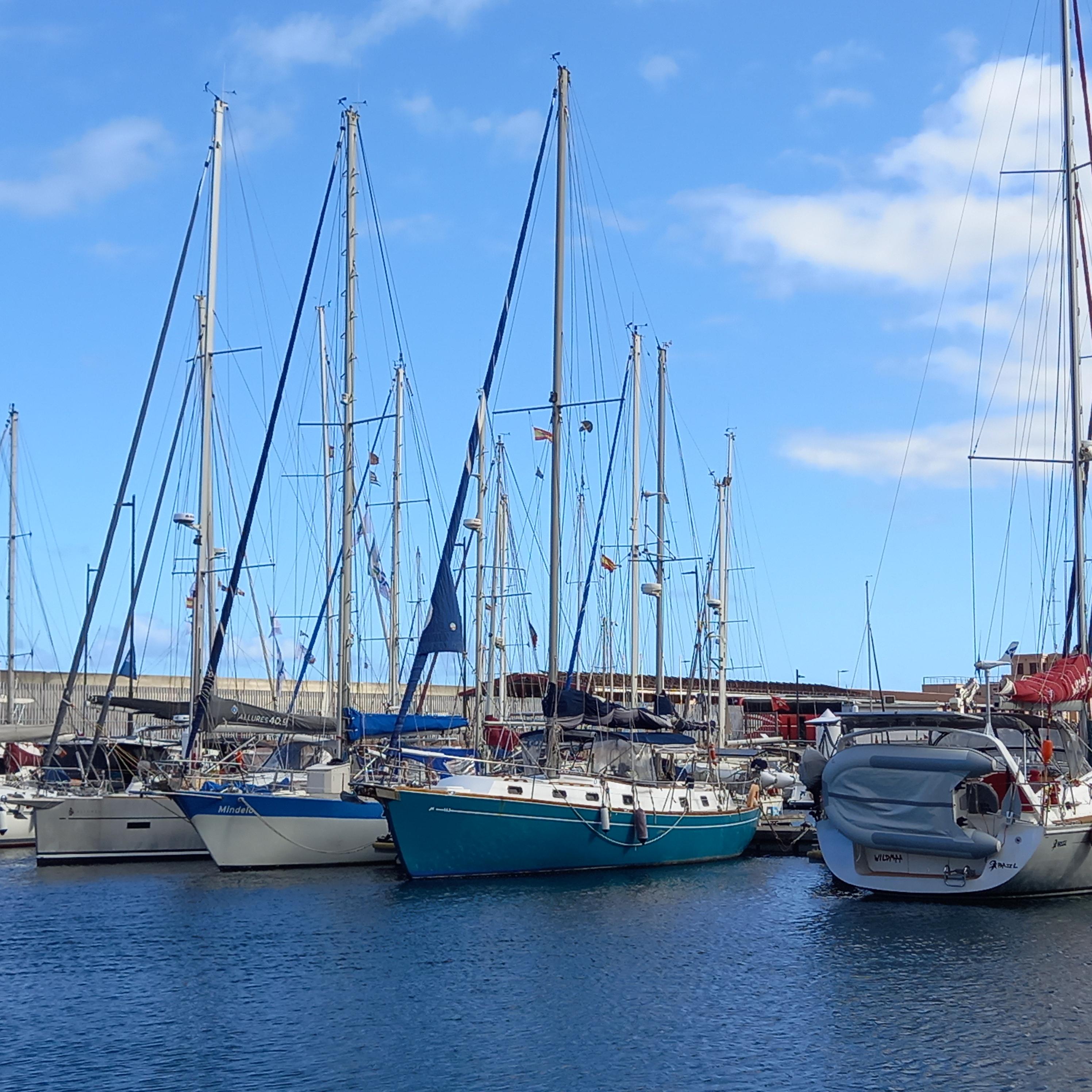 1982 Morgan 462 Morgan Cruiser for sale - YachtWorld