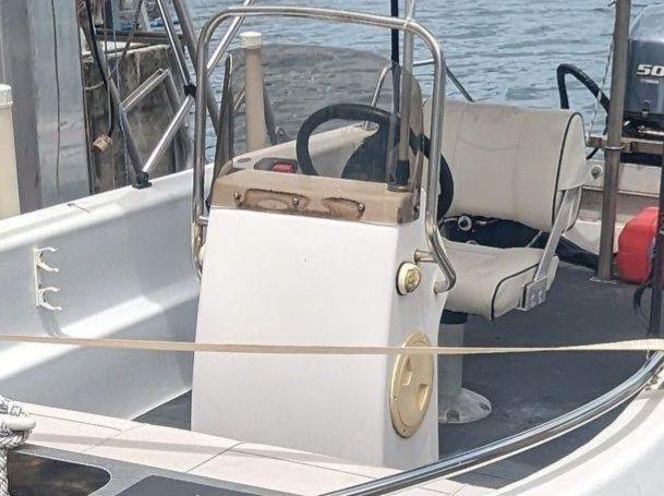 2018 Seahull Commercial Cat Power Catamaran for sale - YachtWorld