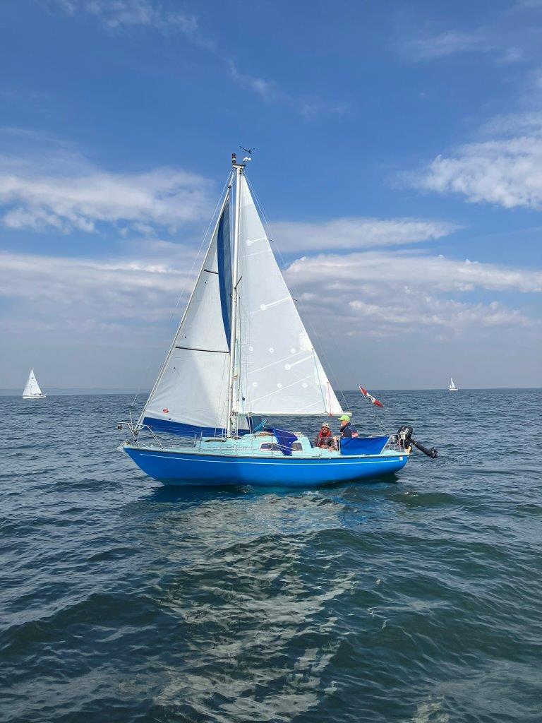 Used Newbridge Corribee in West Sussex - iNautia