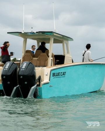 BlueCat boats for sale | YachtWorld