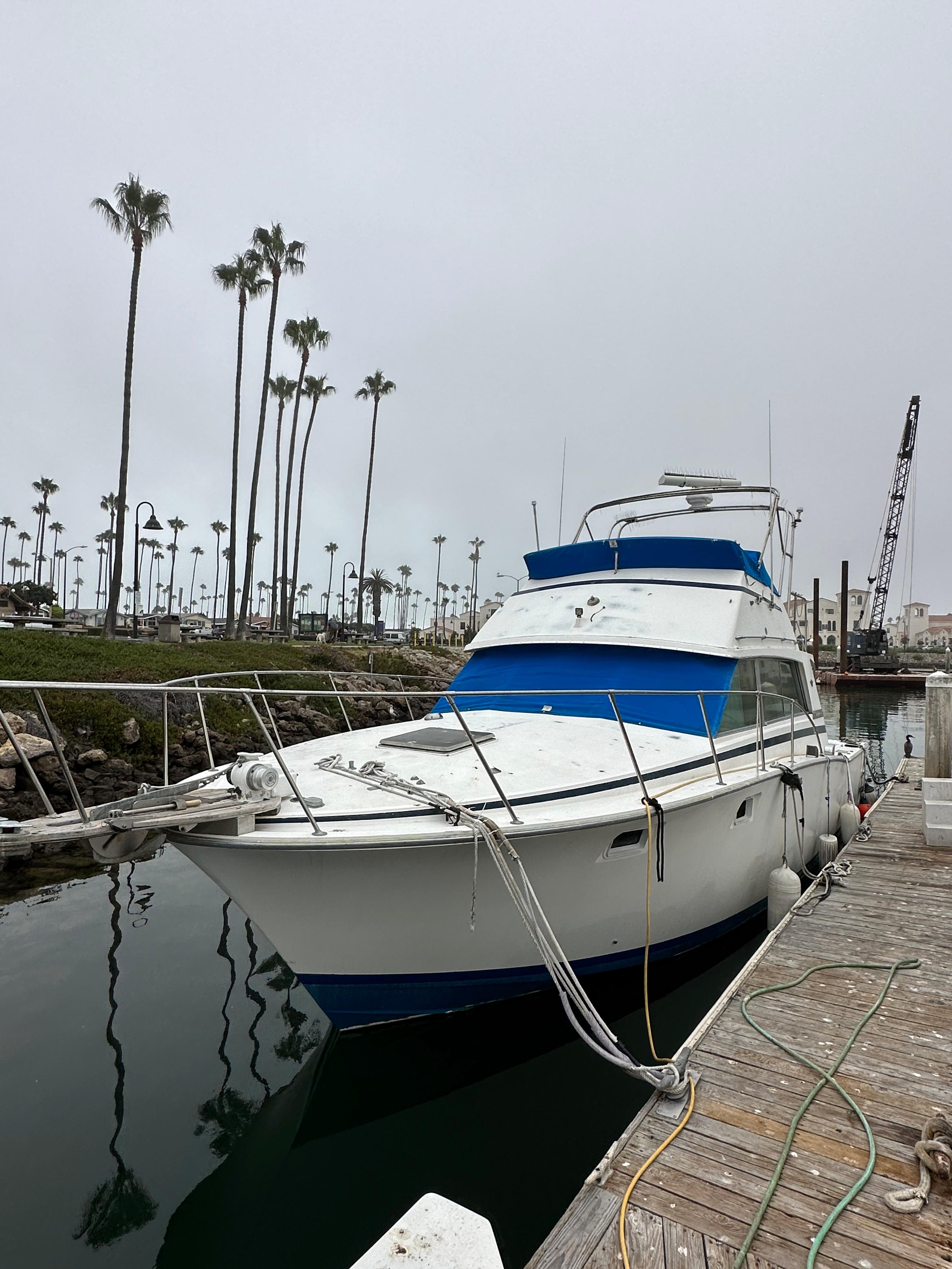 1981 Bertram 38III Convertible Cruiser for sale - YachtWorld