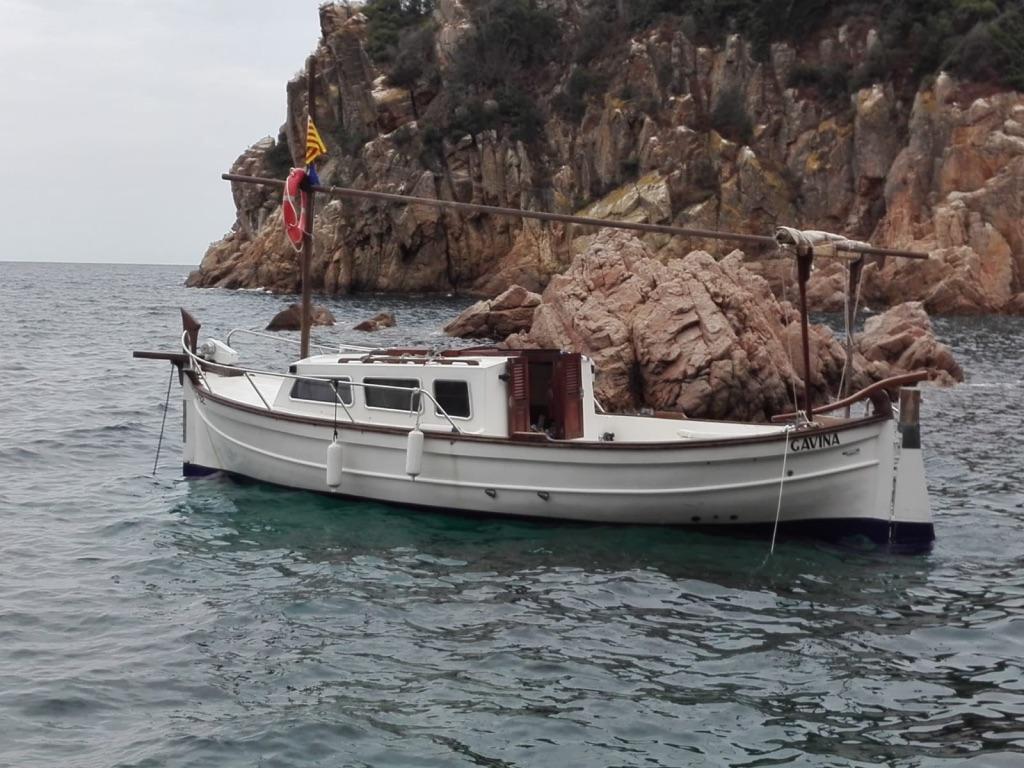 Used 1992 Llaut Capeador 36 Cabin - Girona | TopBoats