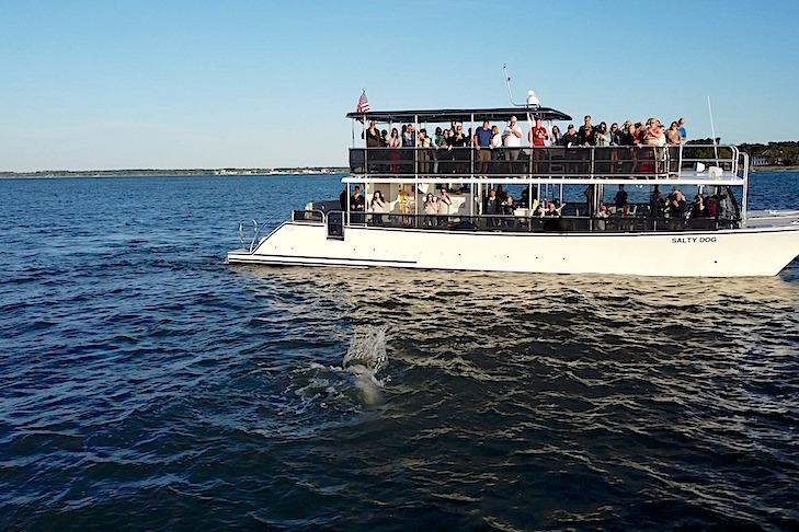 2023 Cooper Marine CARIBBEAN 63 DOUBLE DECK Katamaran Kaufen - YachtWorld