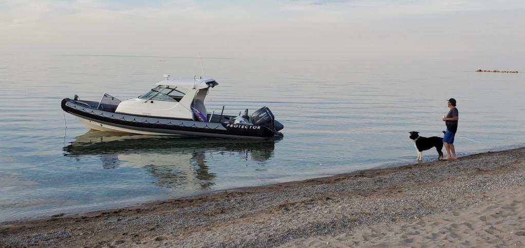 Protector boats for sale | YachtWorld