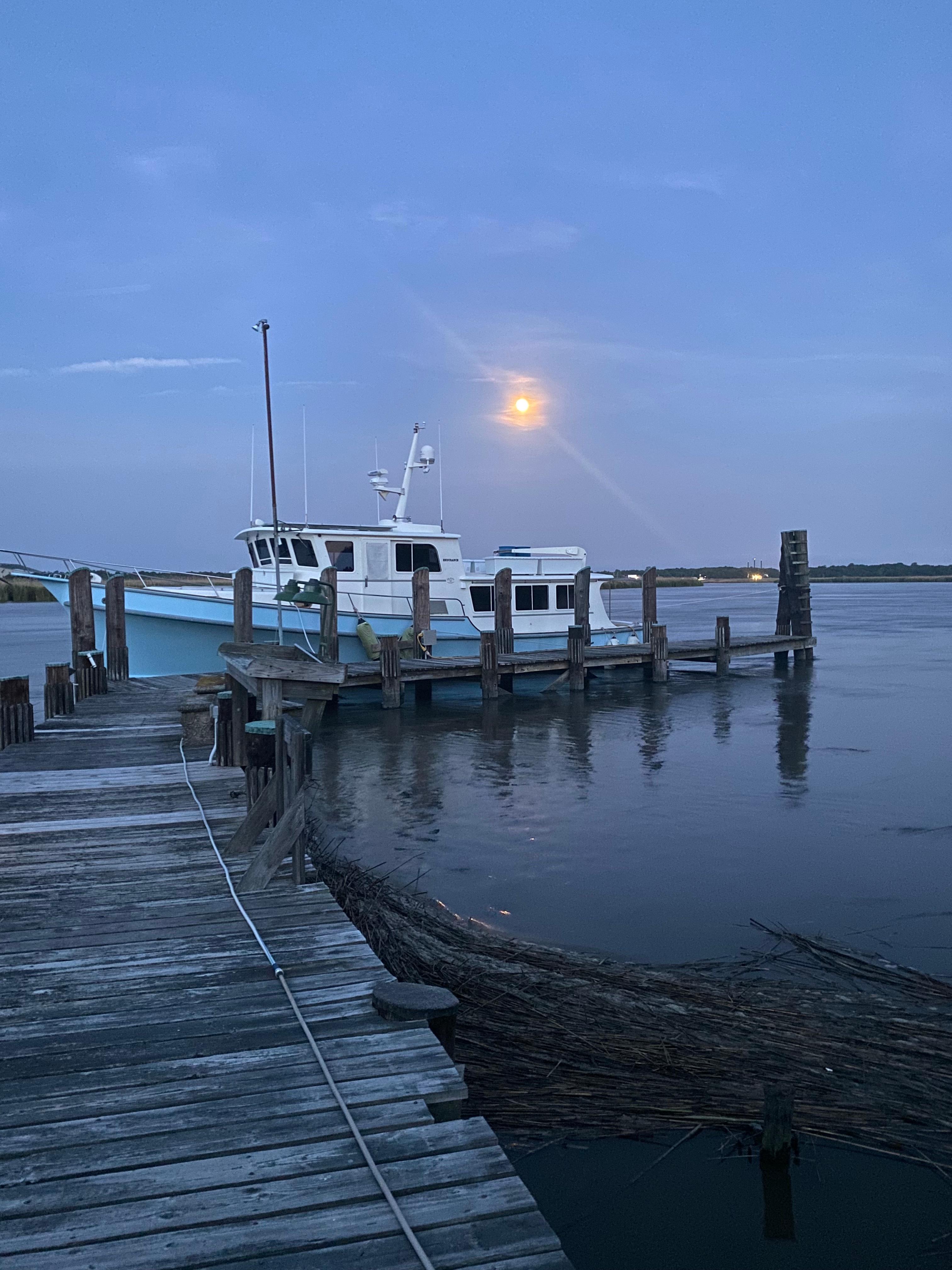 2008 Duffy Fast Trawler Trawler for sale - YachtWorld