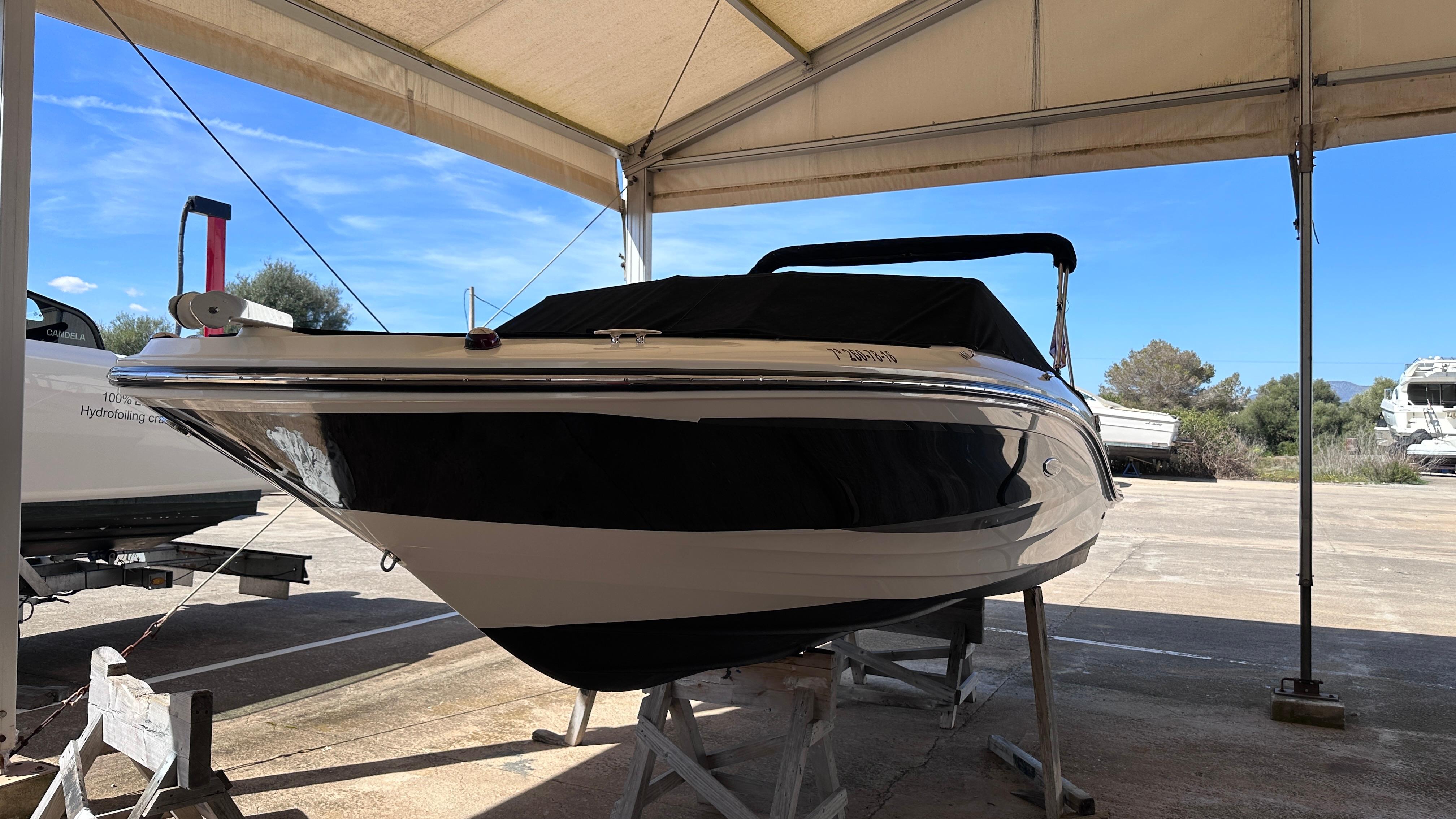 2016 Sea Ray 19 SPX Bowrider for sale - YachtWorld